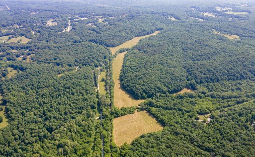 Luxury farm ranches for sale in Nunnelly, Tennessee | JamesEdition