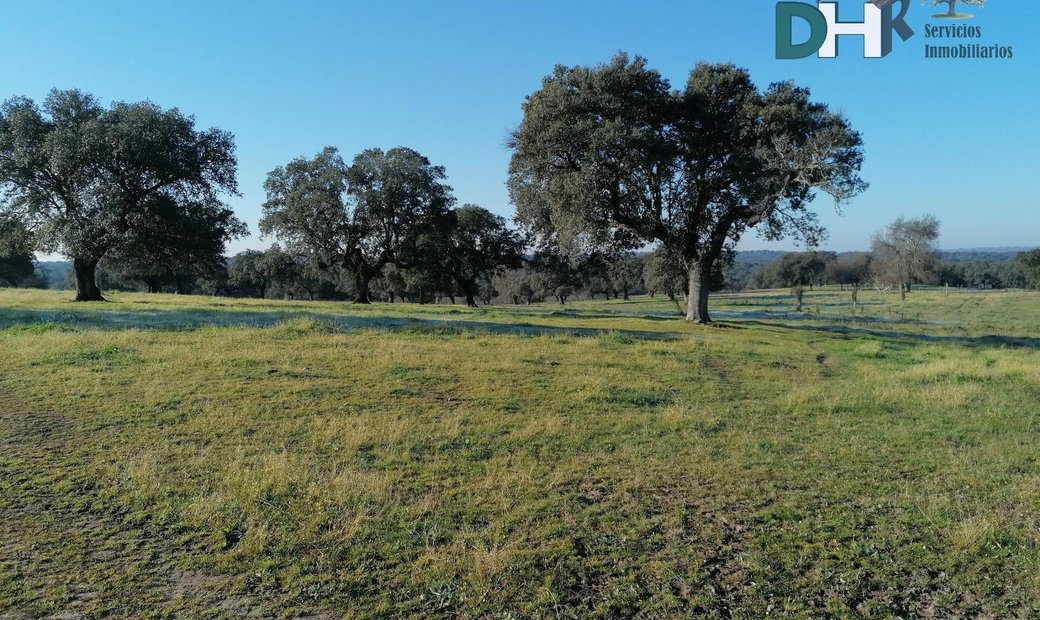 Terreno Cã¡Ceres Spain In (Campus Universitario), Extremadura, Spain ...