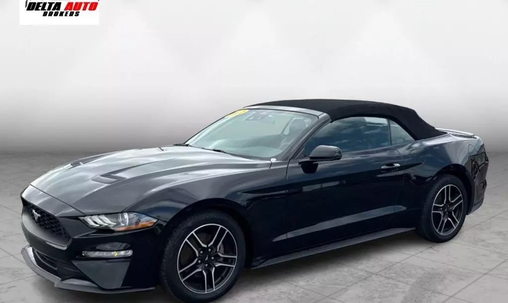 2022 Ford Mustang In Loxley, Al, United States For Sale (15545300)