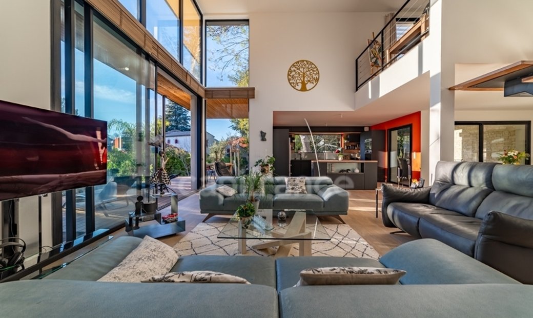 Selten Zu Finden In Saint Gély Du In Montpellier, Okzitanien ...