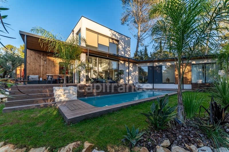 Selten Zu Finden In Saint Gély Du In Montpellier, Okzitanien ...