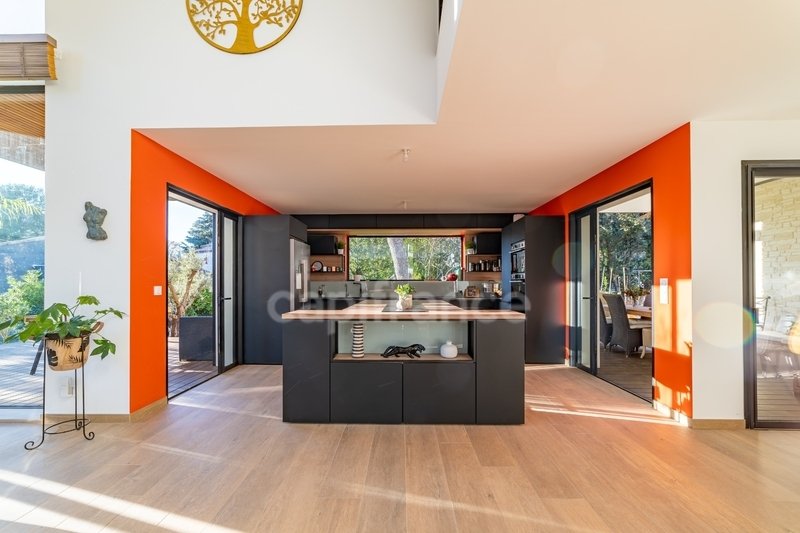 Selten Zu Finden In Saint Gély Du In Montpellier, Okzitanien ...