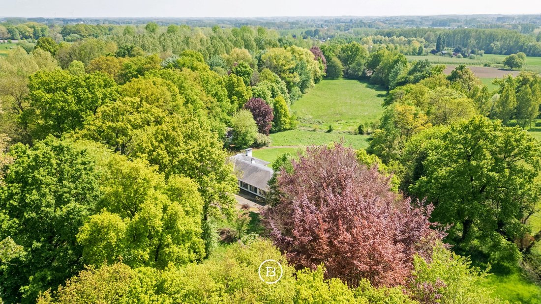 Sigershof In Hasselt, Flanders, Belgium For Sale (15562969)