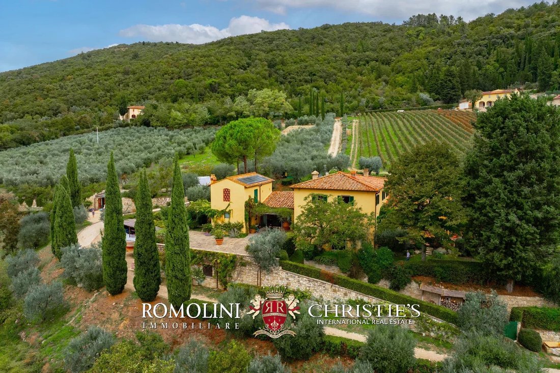 Boutique Winery With 3.6 Ha Of Vineyards For In Poggio Gherardo ...