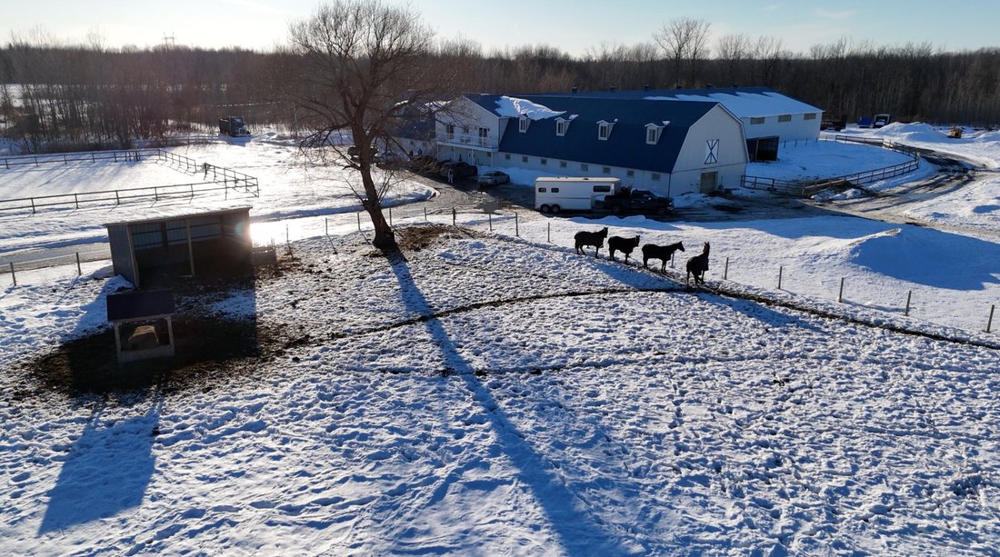 Farm And Agriculture Carignan In Carignan, Quebec, Canada For Sale ...