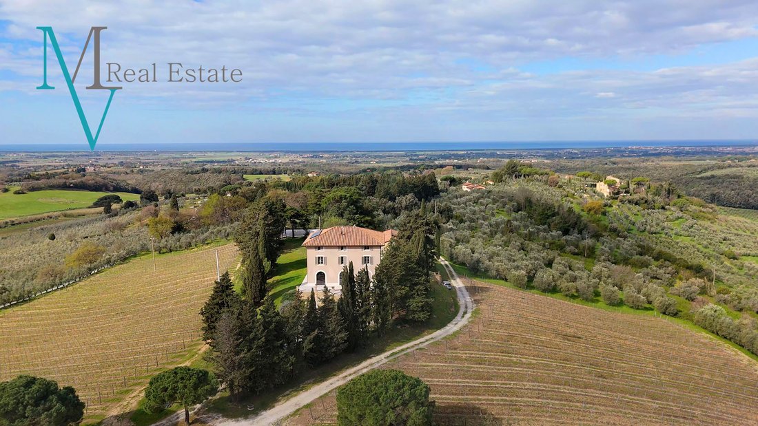 Prestigious Estate With Villa And Vineyards For Sale In In Tuscany ...