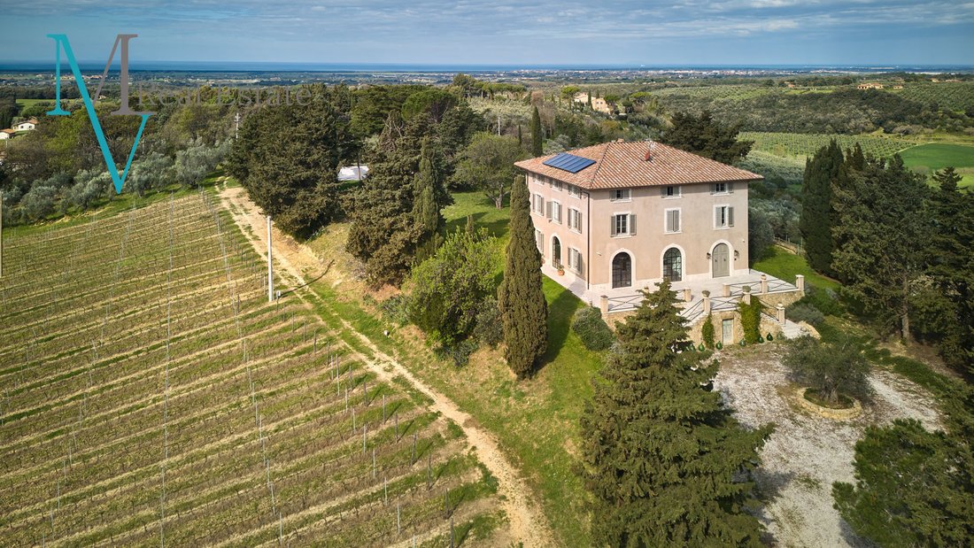 Prestigious Estate With Villa And Vineyards For Sale In In Tuscany ...