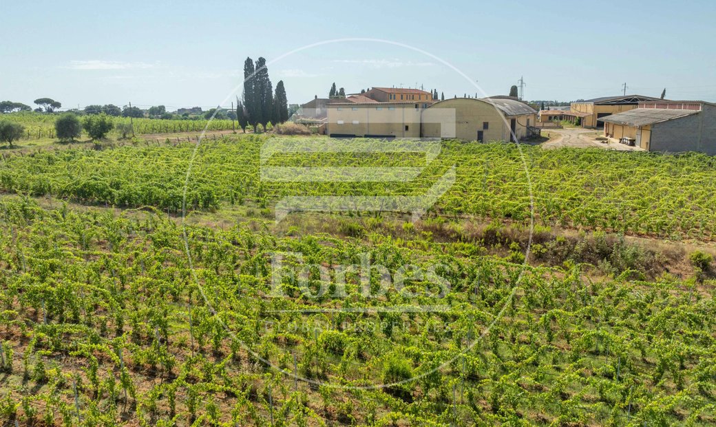 Etruscan Coast – Prestigious 360 Hectare Wine Estate In Cecina, Tuscany ...