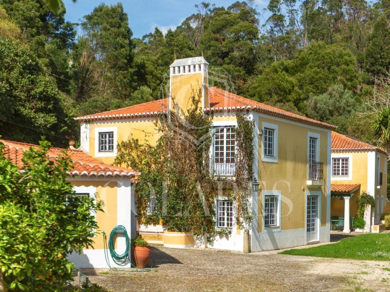 Farm 3,000 M² With 4 Bedroom Villa Designed By The In Sintra, Lisbon ...