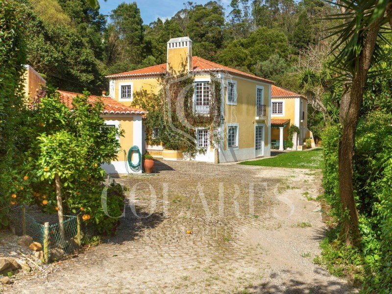 Farm 3,000 M² With 4 Bedroom Villa Designed By The In Sintra, Lisbon ...