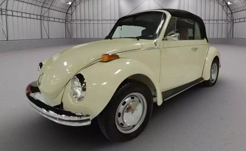 two tone beetle