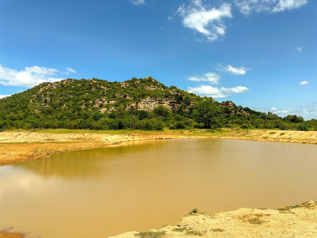 Big 5 Game Farm With Extensive Traversing In Gravelotte, Limpopo, South ...