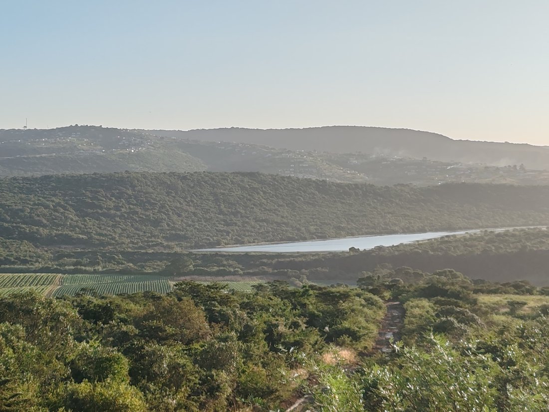 300 Ha Farm For Sale In Komga Rural In Qumrha, Eastern Cape, South ...