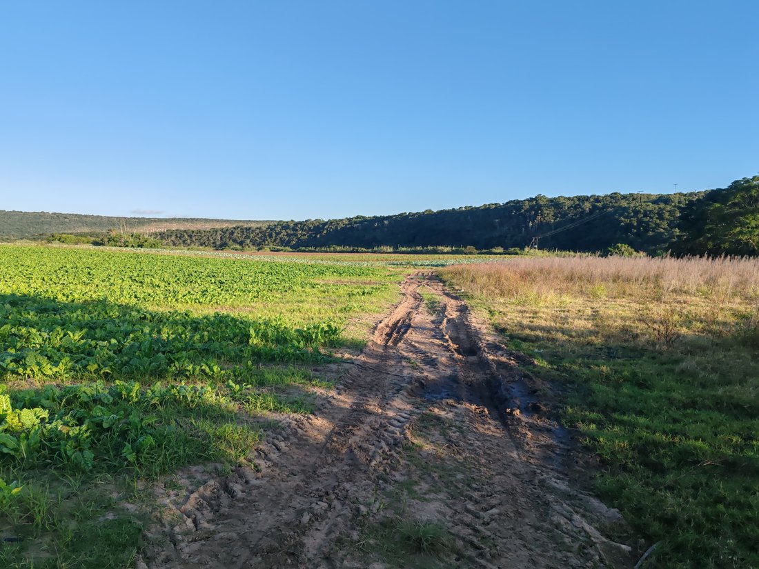 300 Ha Farm For Sale In Komga Rural In Qumrha, Eastern Cape, South ...