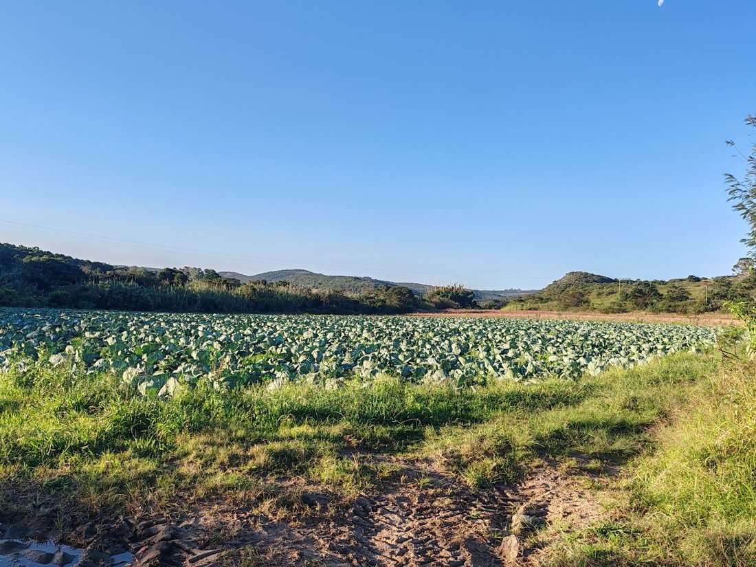 300 Ha Farm For Sale In Komga Rural In Qumrha, Eastern Cape, South ...