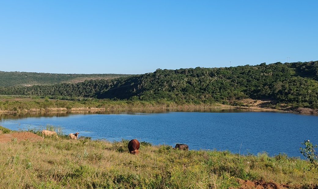 300 Ha Farm For Sale In Komga Rural In Qumrha, Eastern Cape, South ...