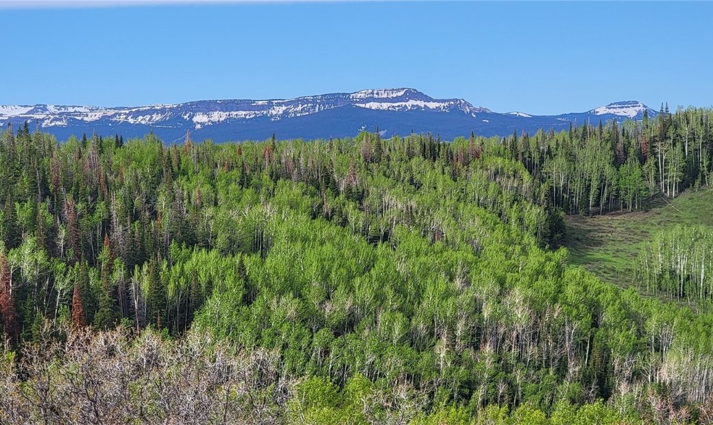 One Of The Most Breathtaking Parcels In In Oak Creek, Colorado, United ...