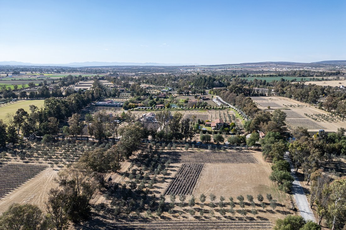 Viñedo San Lucas Lot Next To Chapel In Los Rodríguez, Guanajuato ...