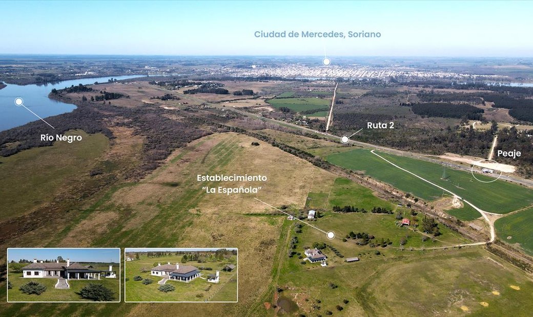 Farm And Agriculture Los Arrayanes In Los Arrayanes, Uruguay For Sale ...