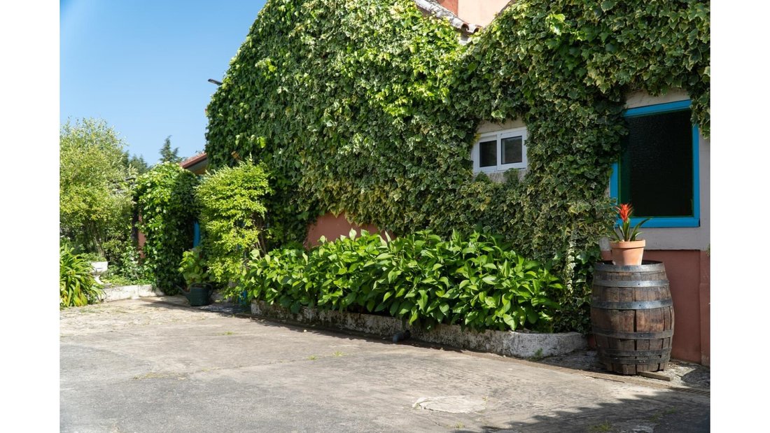Farm Sale Miranda Do Corvo In Lamas, Portugal For Sale (15658626)