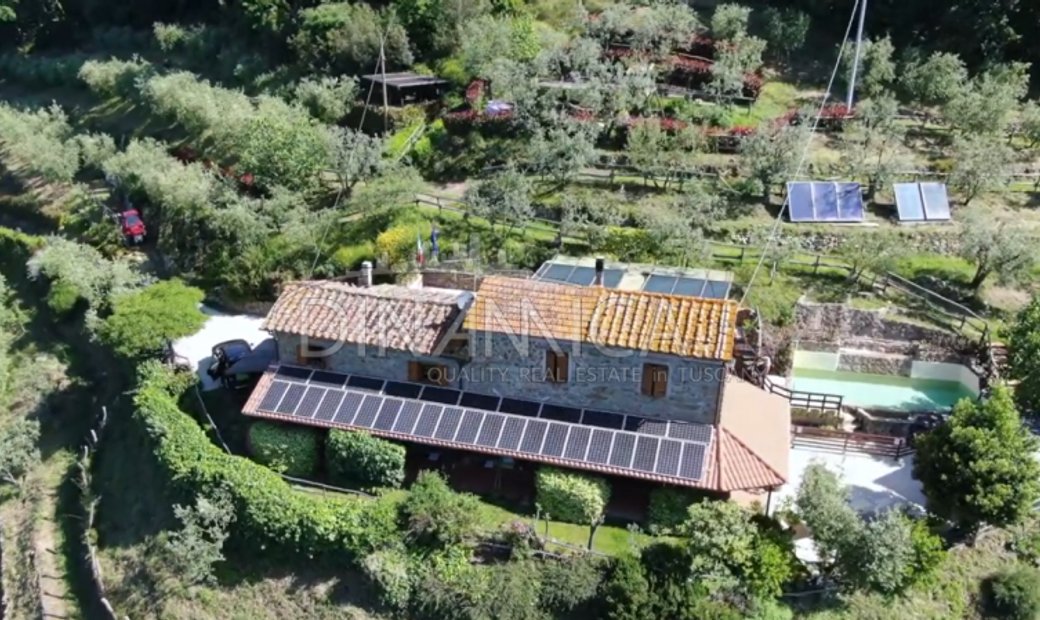 Organic Agritourism Property With Olive Trees In Lamporecchio, Tuscany ...