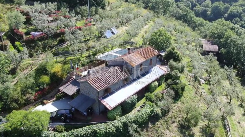 Organic Agritourism Property With Olive Trees In Lamporecchio, Tuscany ...