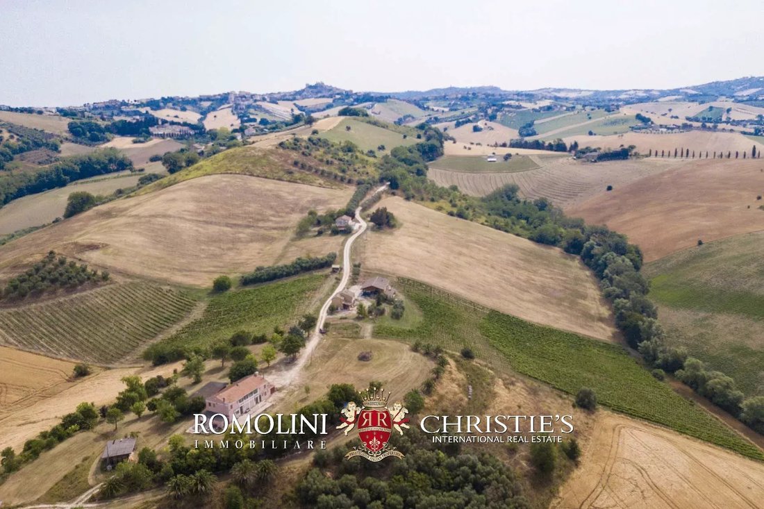 6.9 Ha Boutique Organic Winery For Sale In In Monte San Giusto, Marche ...