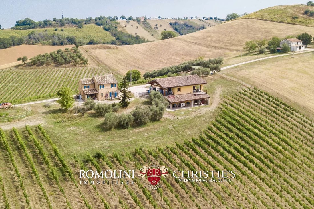 6.9 Ha Boutique Organic Winery For Sale In In Monte San Giusto, Marche ...