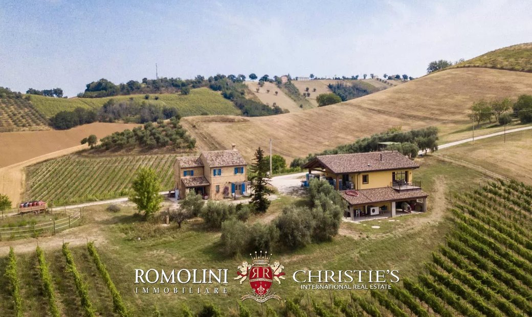 6.9 Ha Boutique Organic Winery For Sale In In Monte San Giusto, Marche ...