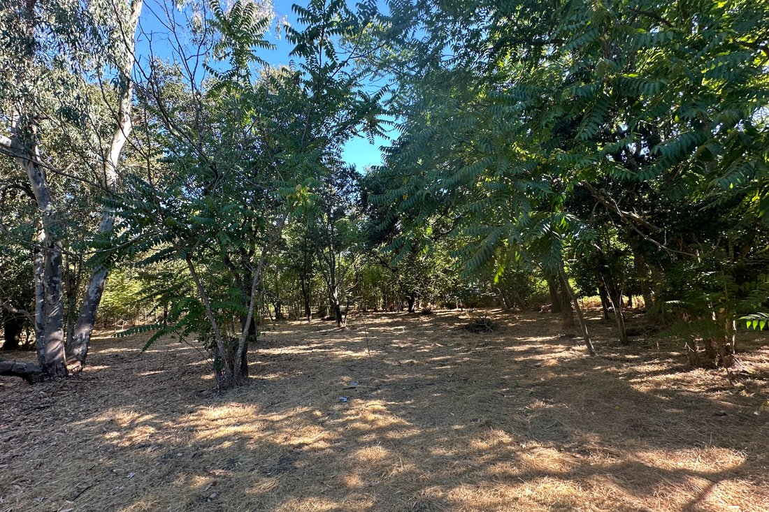 250 Napa Road En Sonoma, California, Estados Unidos En Venta (15669034)