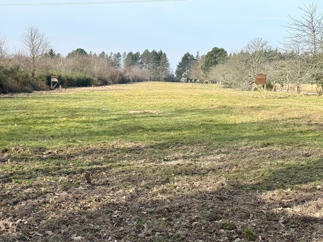 Sologne Propriété De Chasse 174ha In Salbris, Centre Val De Loire ...