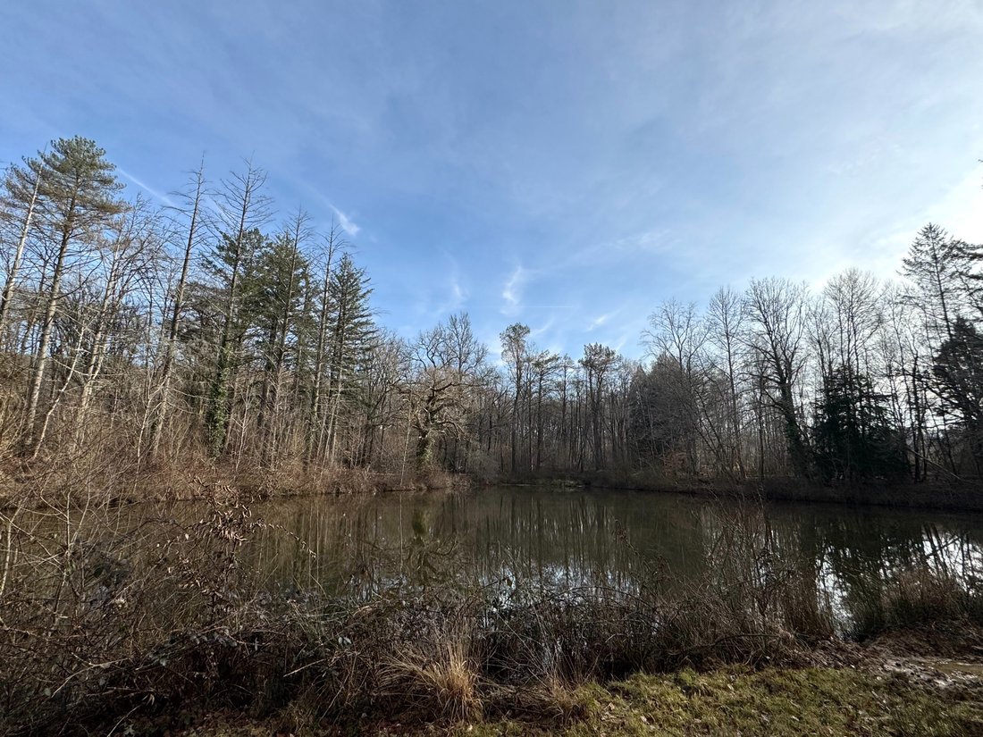 Sologne Propriété De Chasse 174ha In Salbris, Centre Val De Loire ...