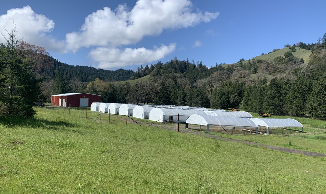 A Private 194 Acre Ranch In Willits In Willits, California, United ...