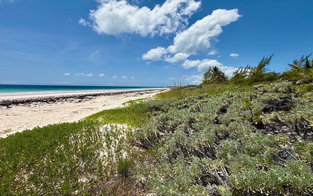 Prime Beachfront Estate In Windermere Island, Central Eleuthera, The ...