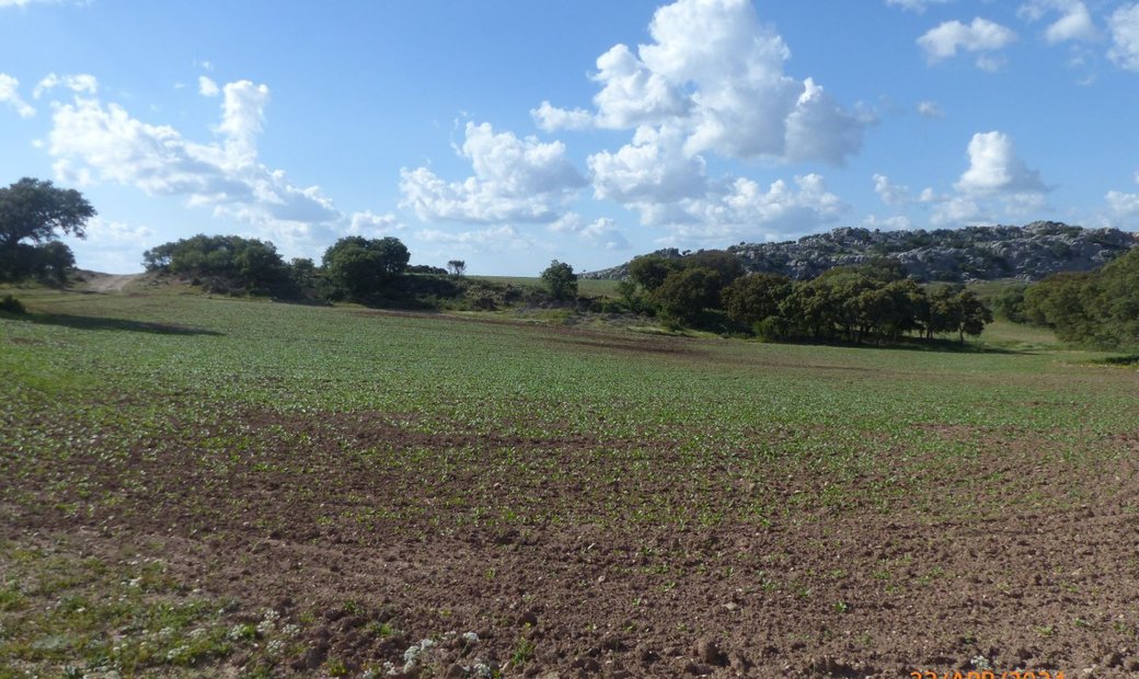 Finca Rústica Venta Málaga In Spain For Sale (15665557)