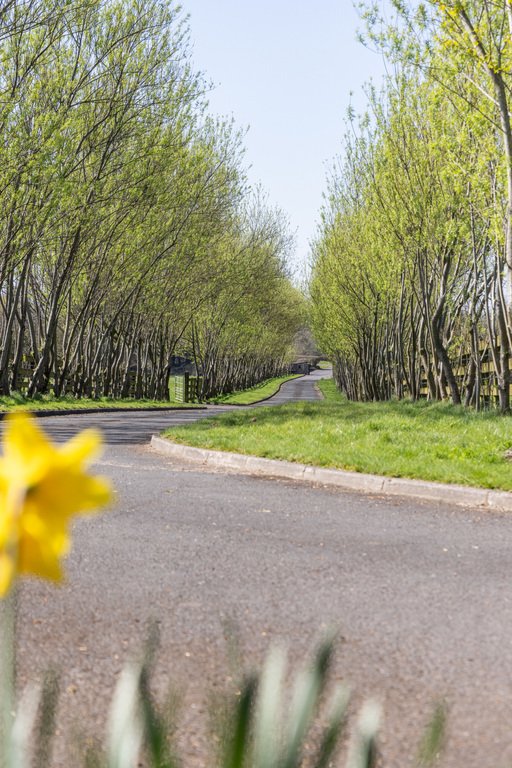 House Templepatrick In Templepatrick, Northern Ireland, United Kingdom ...