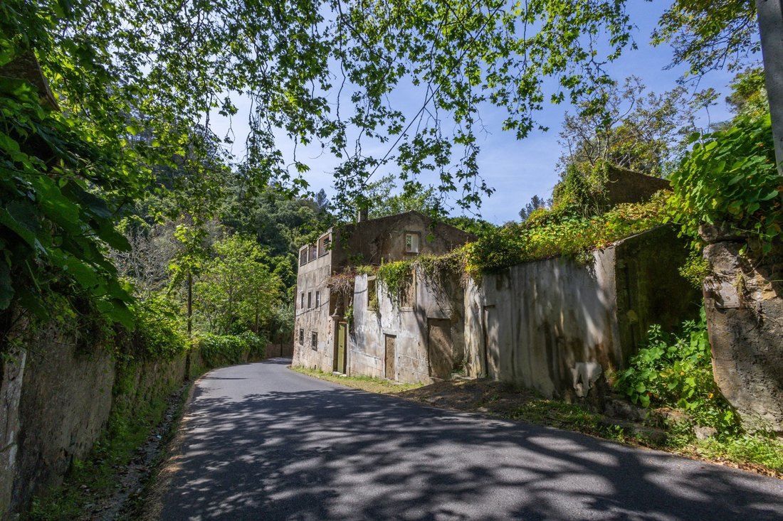 Small Farm For Sale In Sintra, Lisbon, Portugal For Sale (15708549)