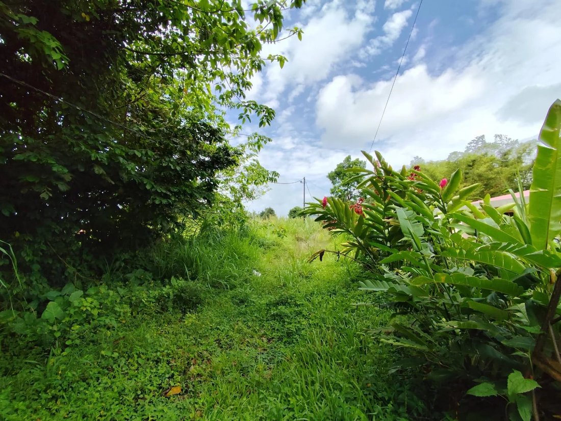 Le Morne Rouge Land In Le Morne Rouge, Saint Pierre, Martinique For ...