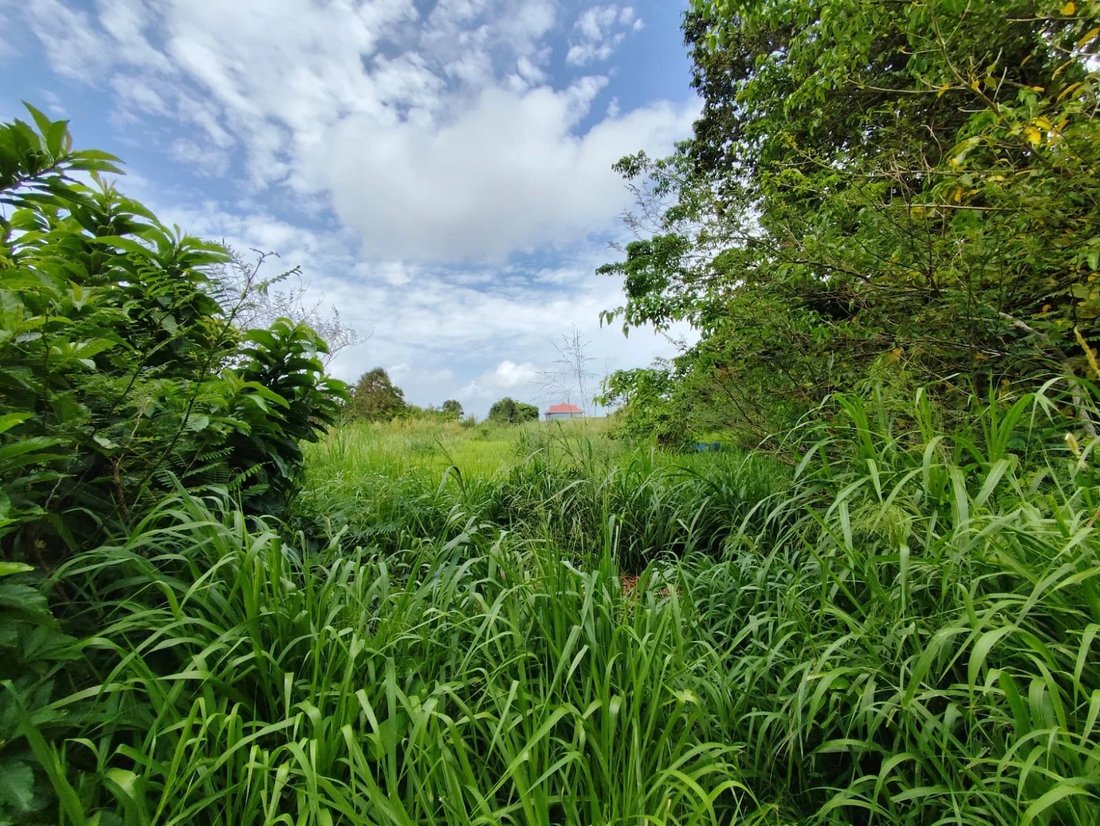 Le Morne Rouge Land In Le Morne Rouge, Saint Pierre, Martinique For ...