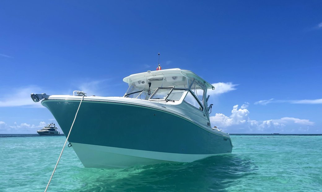 Edgewater 280 Cx In United States For Sale (15727747)