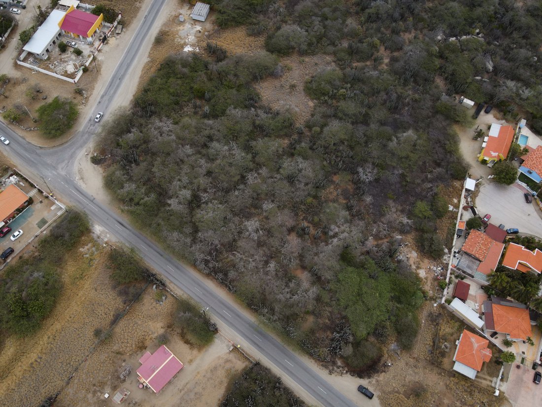 Full Ownership Land In Calbas In Noord, Aruba For Sale (15598611)