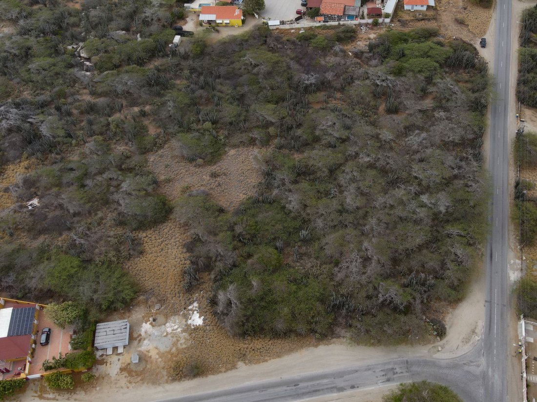 Full Ownership Land In Calbas In Noord, Aruba For Sale (15598611)