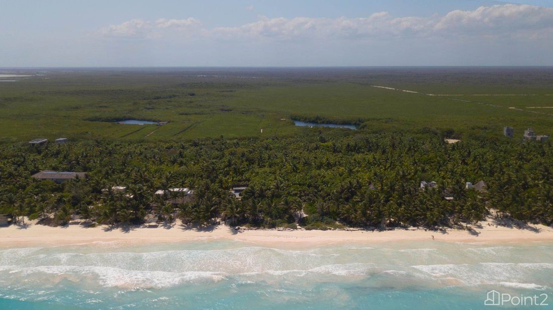 Tulum Hotel Zone Beachfront Land In Tulum, Quintana Roo, Mexico For ...