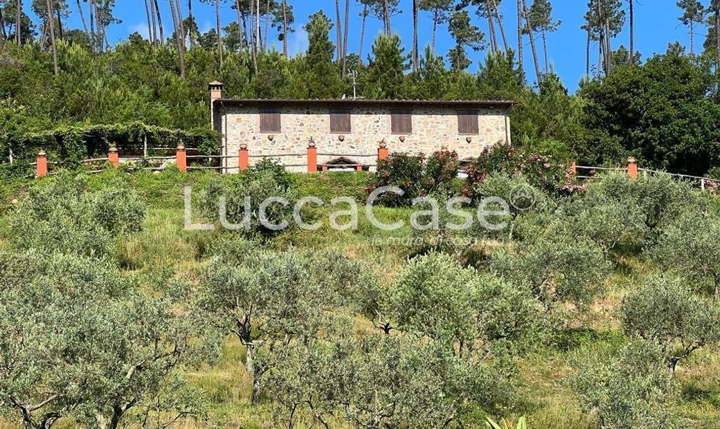 Rustic Property For Sale In Buti (Pi) In Buti, Tuscany, Italy For Sale ...