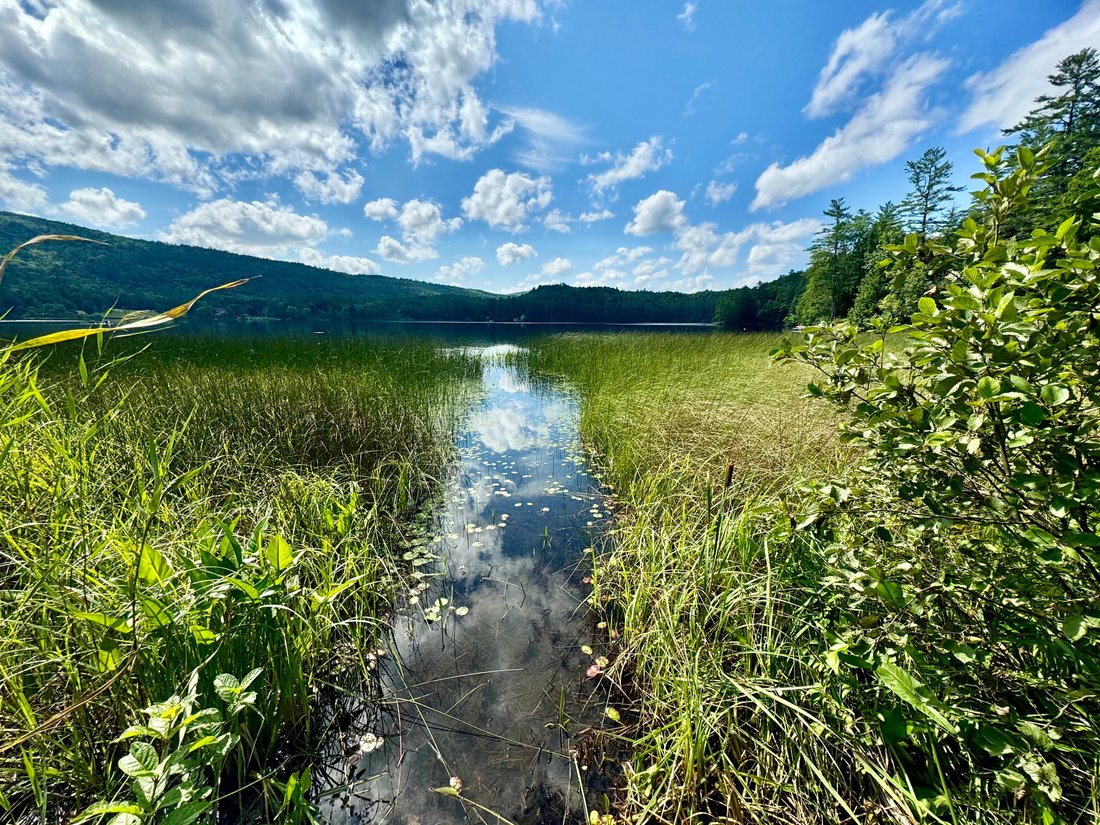 31 Post Pond Lane In Lyme, New Hampshire, United States For Sale (15754177)