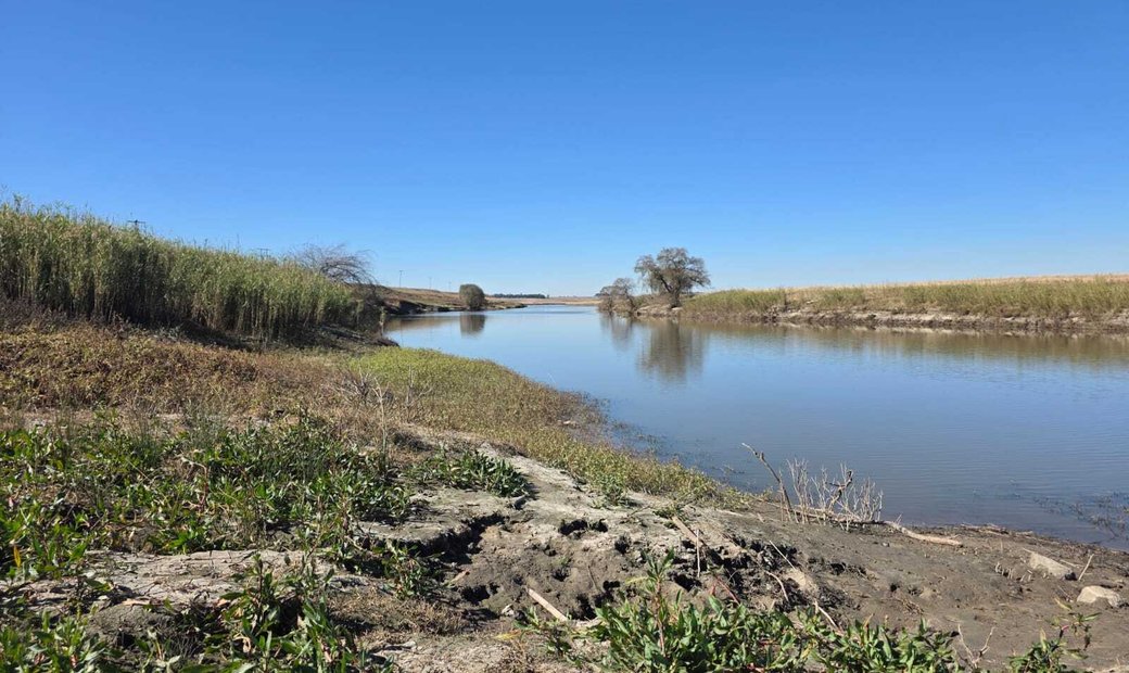 Cattle And Irrigation Farm In Villiers, Free State, South Africa For ...