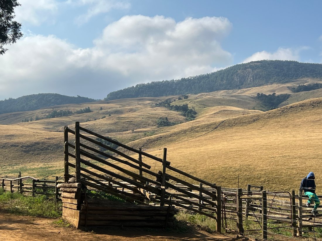 Exceptional Farm For Sale In Karkloof In Howick, Kwa Zulu Natal, South ...
