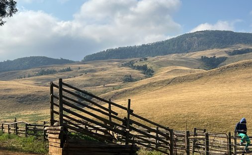 Luxury homes for sale in Merrivale, Howick, KwaZulu-Natal, South Africa ...