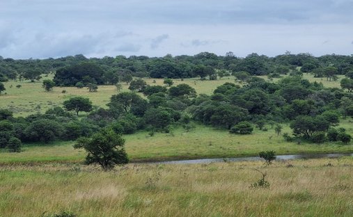 Luxury mountain view homes for sale in Morebeng, Limpopo, South Africa ...