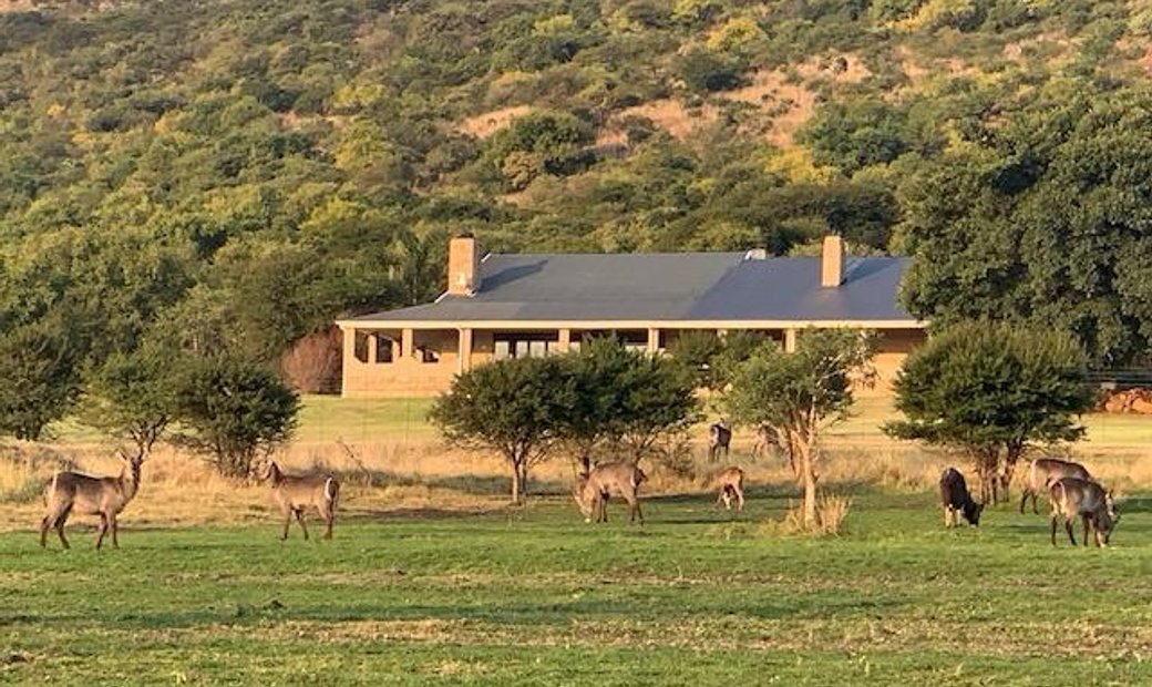 Premium Game And Cattle Farm For In Newcastle, Kwa Zulu Natal, South ...